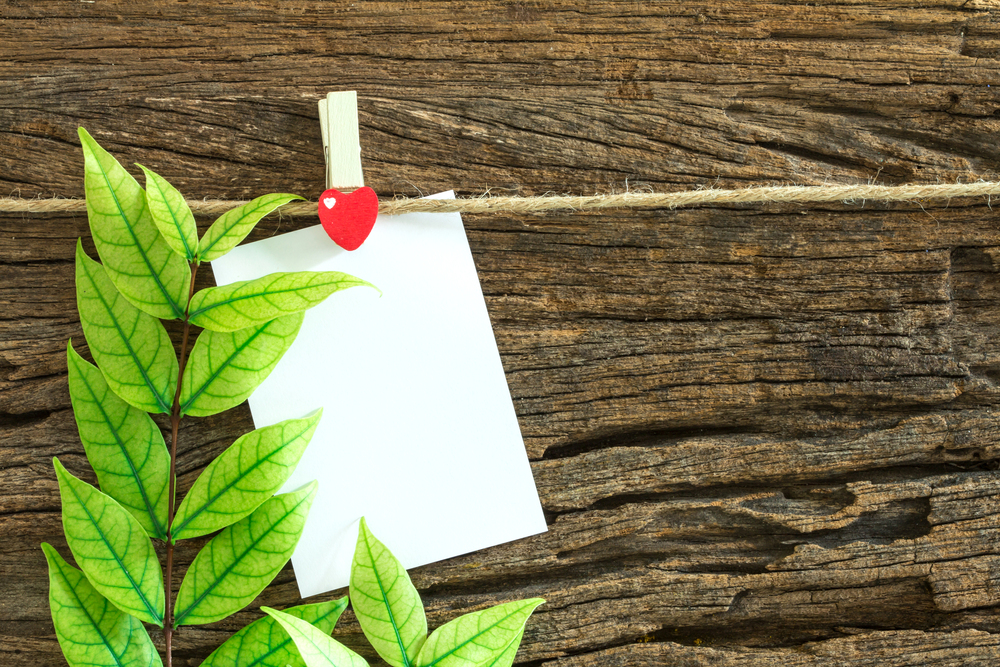 Kratom Travel Tips: Stay Legal | Kratom Bird